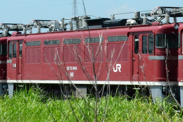 廃車されるED75電気機関車7連を撮りに子供達と出かけてきました！ | 鉄道写真の旅 - 楽天ブログ