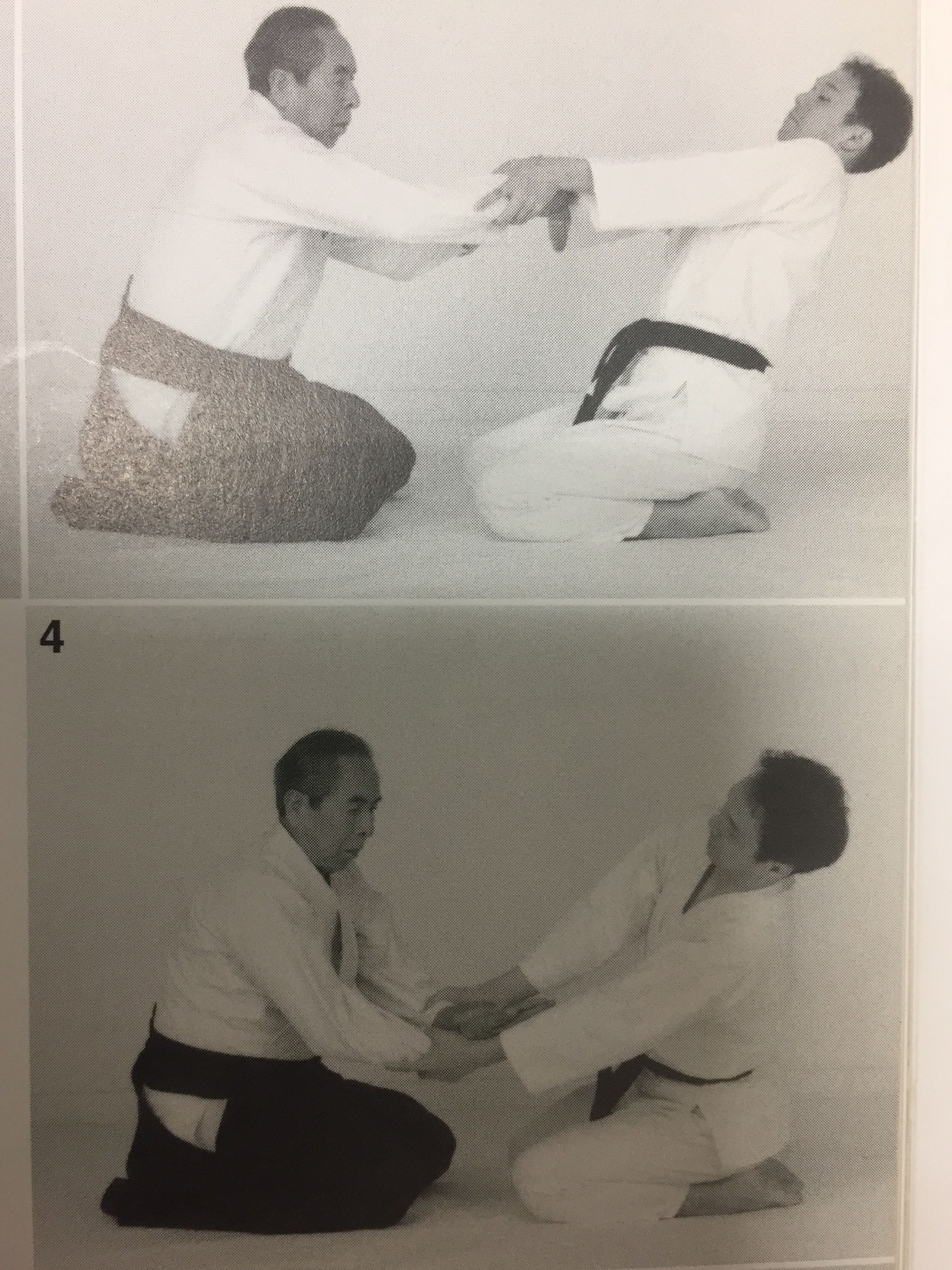 KIHONSHUHOU(Basic Skills) 48 Daitoryu Aikijyujyutsu by Okamoto Seigo ...