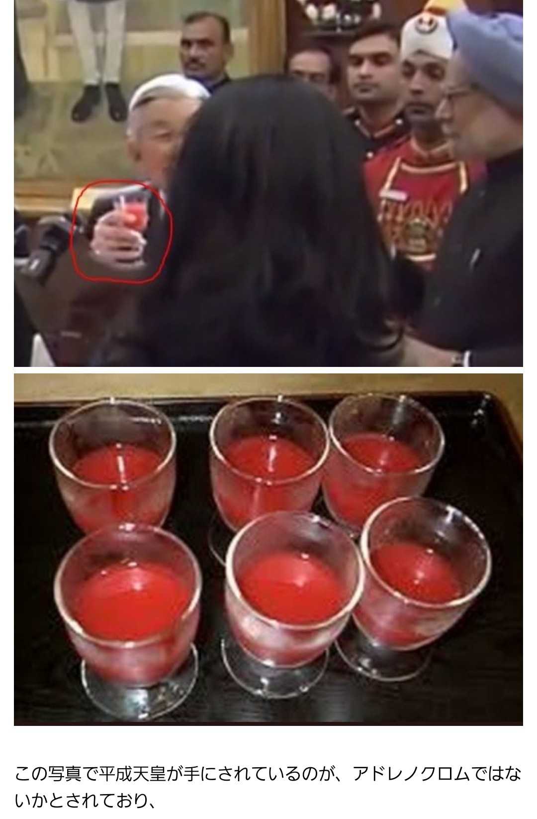 🇺🇸Biden政権25万人の子ども不法移民🍕85000人行方不明🍕【エプスタイン事件】【アドレノクロム】【フラズル ドリップ ...