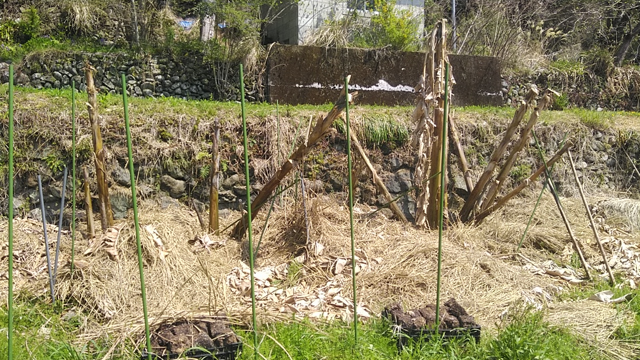 スキゾ逃農記 至善農園精舎 知足 離欲 精進編 | junbenのブログ - 楽天ブログ