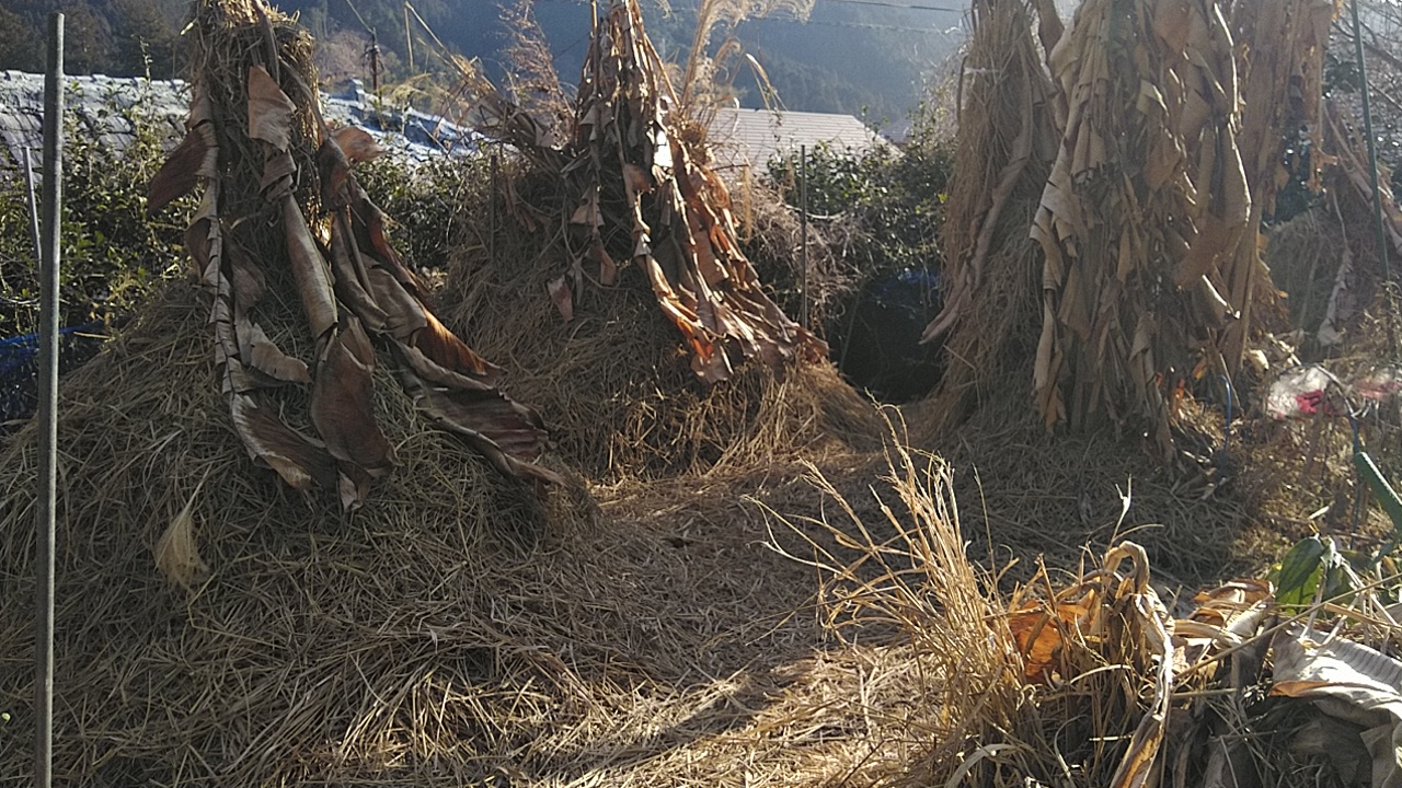 スキゾ逃農記 至善農園精舎 知足 離欲 精進編 | junbenのブログ - 楽天ブログ