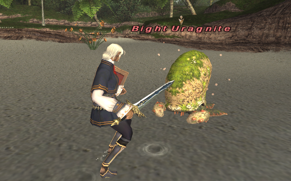 黄色いもやとお姉さま！（エクスカリバー・完） | FF11復帰者のこっそり活動日誌 - 楽天ブログ