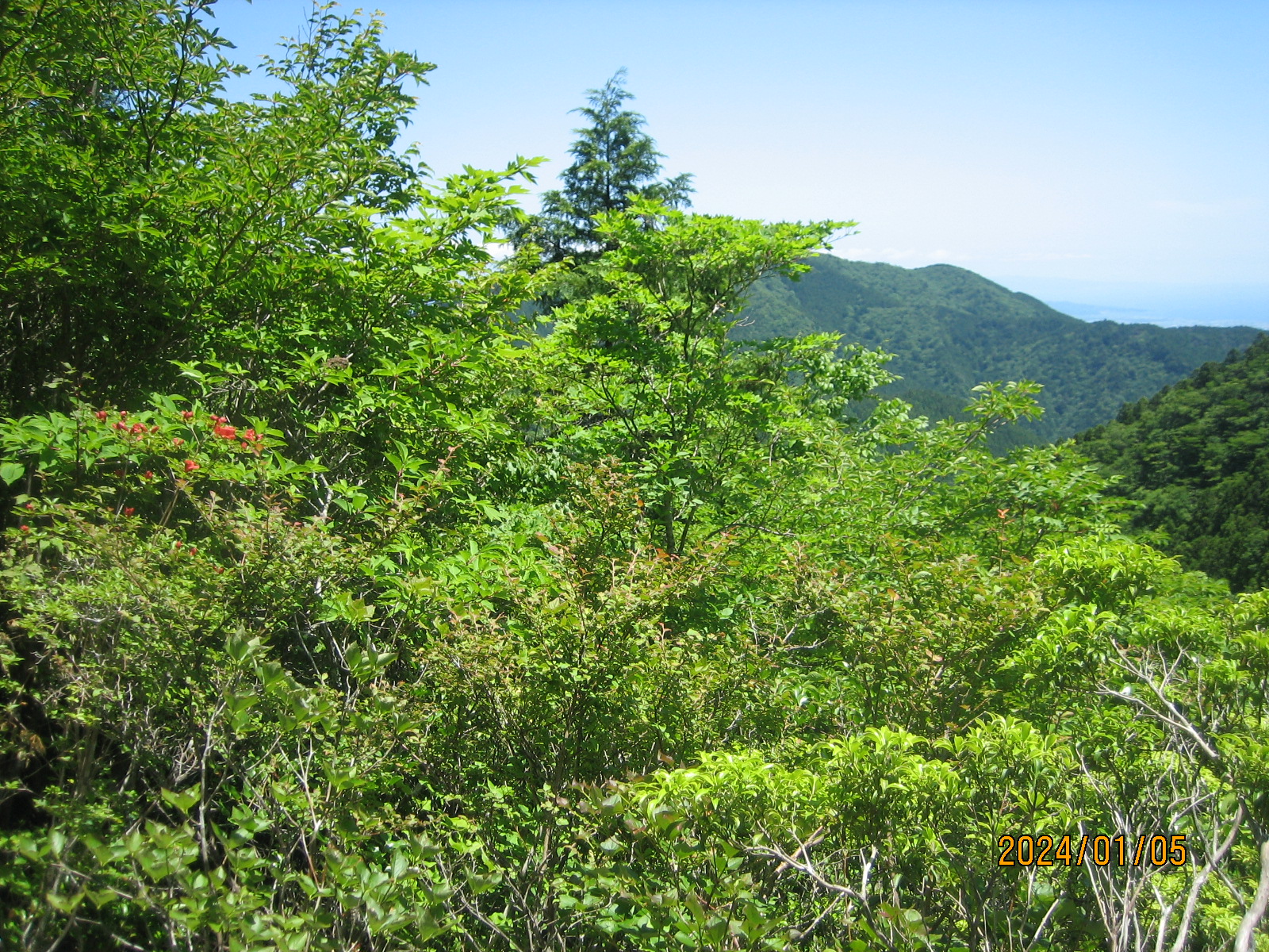 愛別離苦（あいべつりく）・MLB、NPB | 63歳からの挑戦（リズム・バランス・タイミング） - 楽天ブログ
