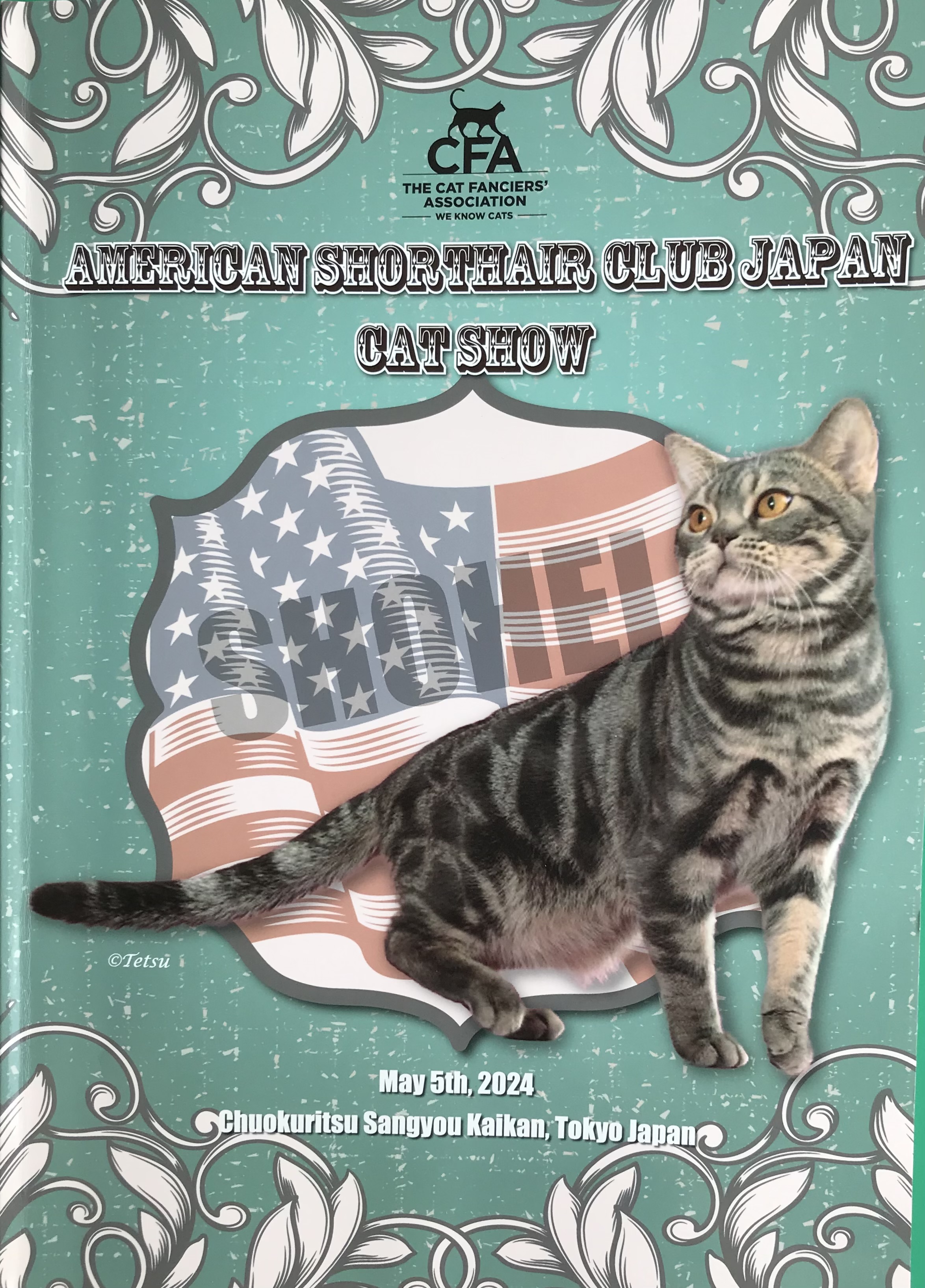 AMERICAN SHORTHAIR CLUB JAPAN CAT SHOW | Cattery PETITANGEのブログ - 楽天ブログ