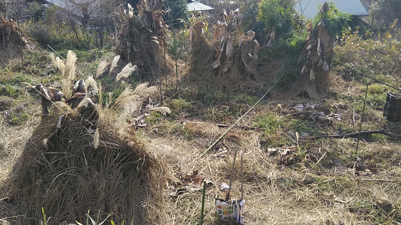 スキゾ逃農記 至善農園精舎 知足 離欲 精進編 | junbenのブログ - 楽天ブログ