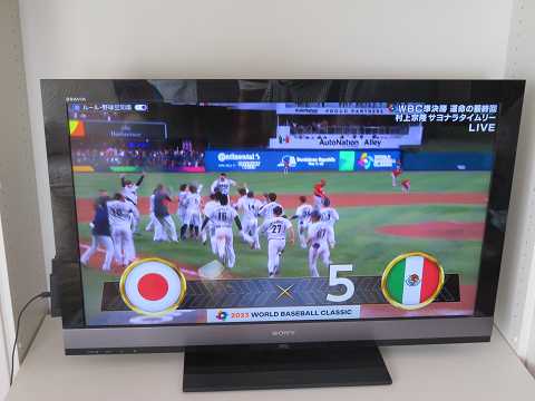 WBC2023 日本xﾒｷｼｺ（TV） | 星とカワセミ好きのブログ - 楽天ブログ