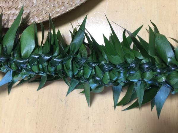 Ti leaf braided lei | フラダンス日記 - 楽天ブログ