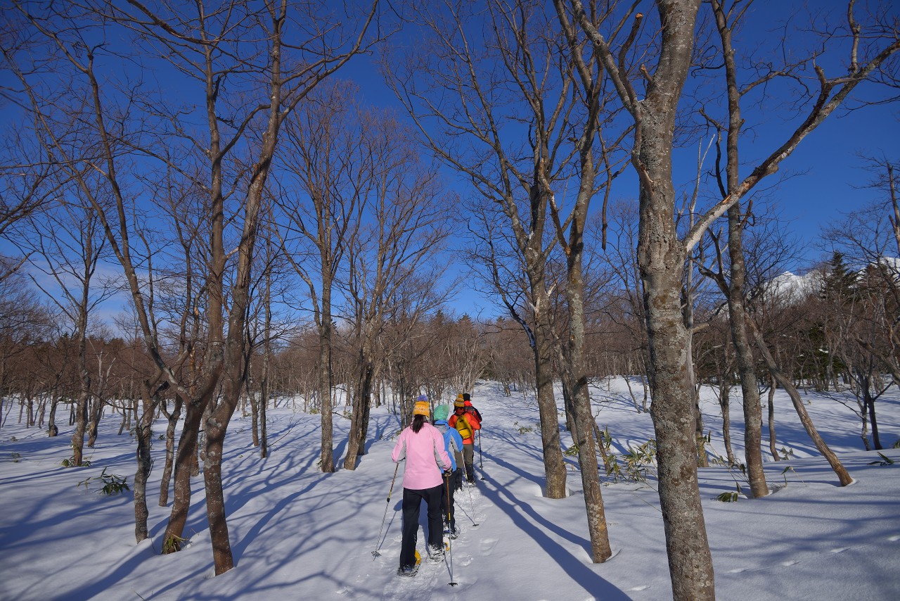 「厳冬期の知床五湖エコツアー」を体験しました。 | 北海道庁のブログ「超！！旬ほっかいどう」 - 楽天ブログ