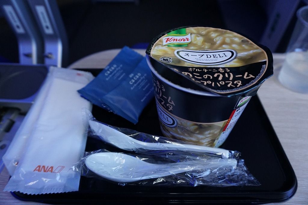 NH184便 プレミアムエコノミー（後編） | エアポート・ハイ - 楽天ブログ