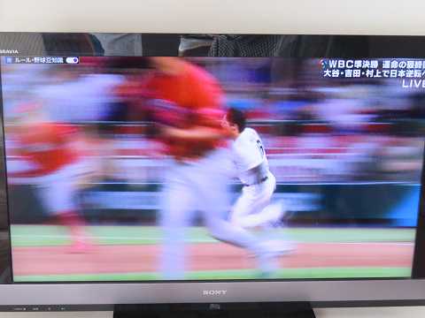 WBC2023 日本xﾒｷｼｺ（TV） | 星とカワセミ好きのブログ - 楽天ブログ