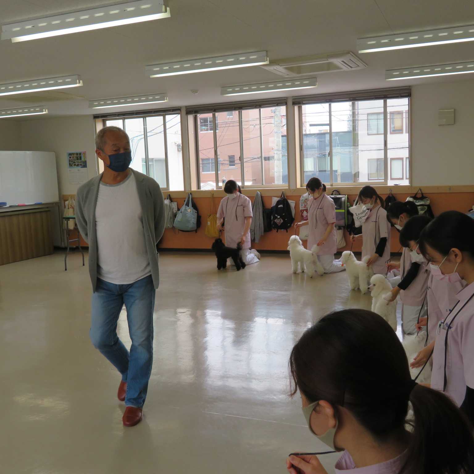 vJKCハンドラー資格取得へ向けて実技授業が行われました(^_^)v | 青森愛犬美容専門学院 - 楽天ブログ