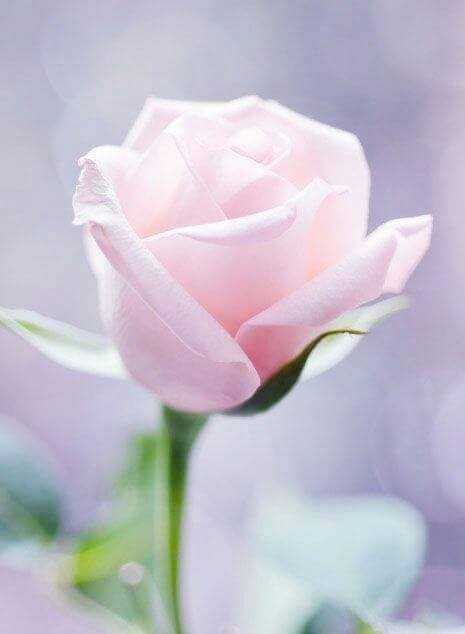 Chapter 11 Natural Disasters Caused by the Pole Shift (Earth Axis Shift ...