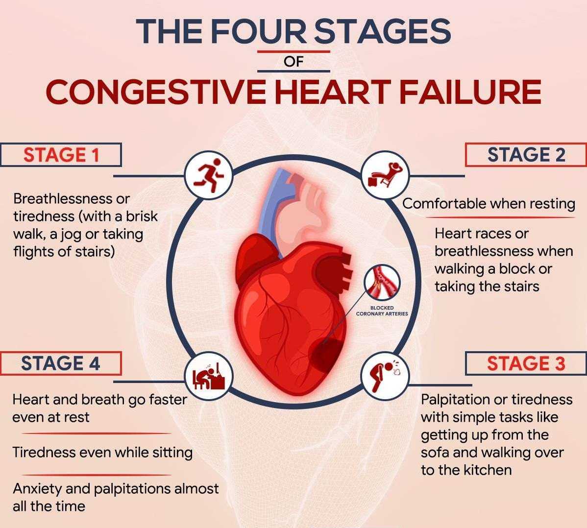 Balancing Act: Medications in Congestive Heart Failure Treatment | mangeshjiのブログ - 楽天ブログ