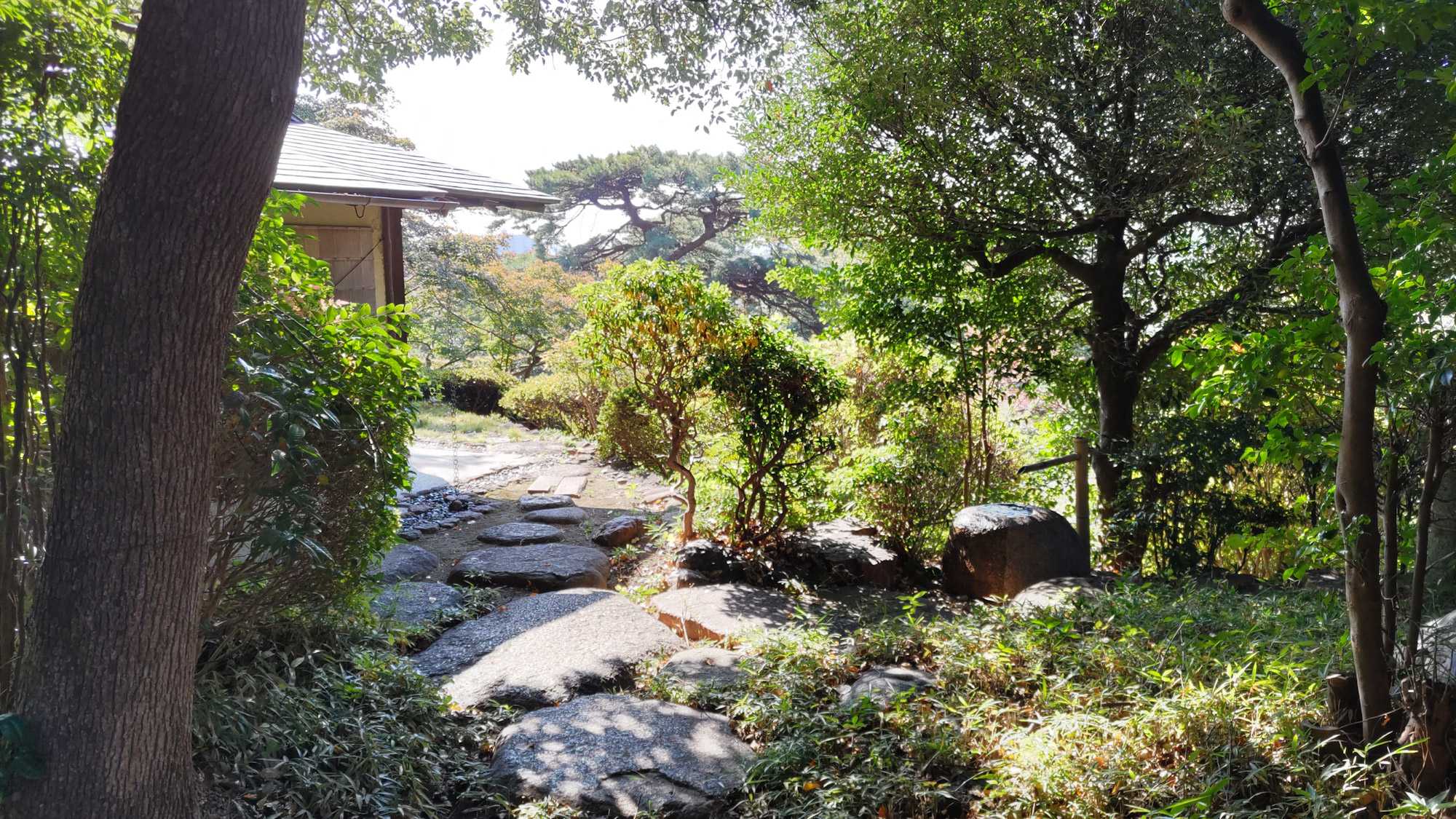 麺聖の国宝 の旅 | 麺聖のうどん・歌舞伎・文楽・城・国宝・博物館・グルメの旅(ブログ版) - 楽天ブログ