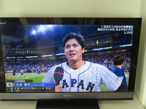 WBC2023 日本xﾒｷｼｺ（TV） | 星とカワセミ好きのブログ - 楽天ブログ