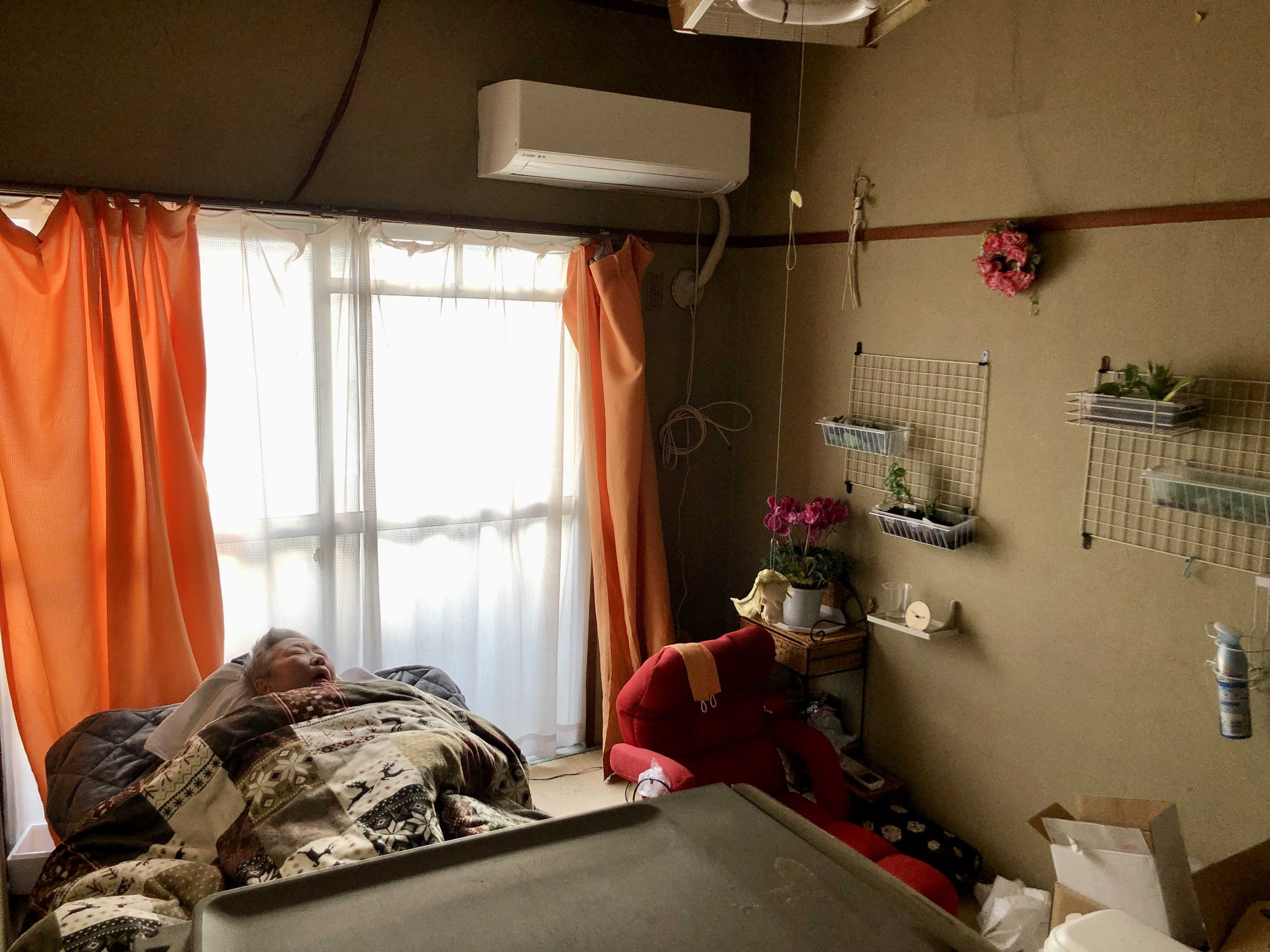 心に 自然の息吹を アクセス 911111達成中 | ぽっぽやのむすめのブログ - 楽天ブログ