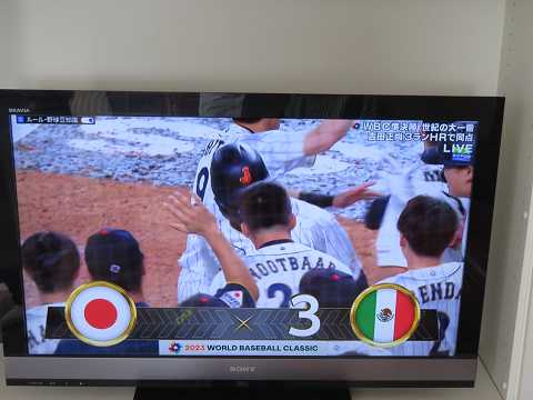 WBC2023 日本xﾒｷｼｺ（TV） | 星とカワセミ好きのブログ - 楽天ブログ
