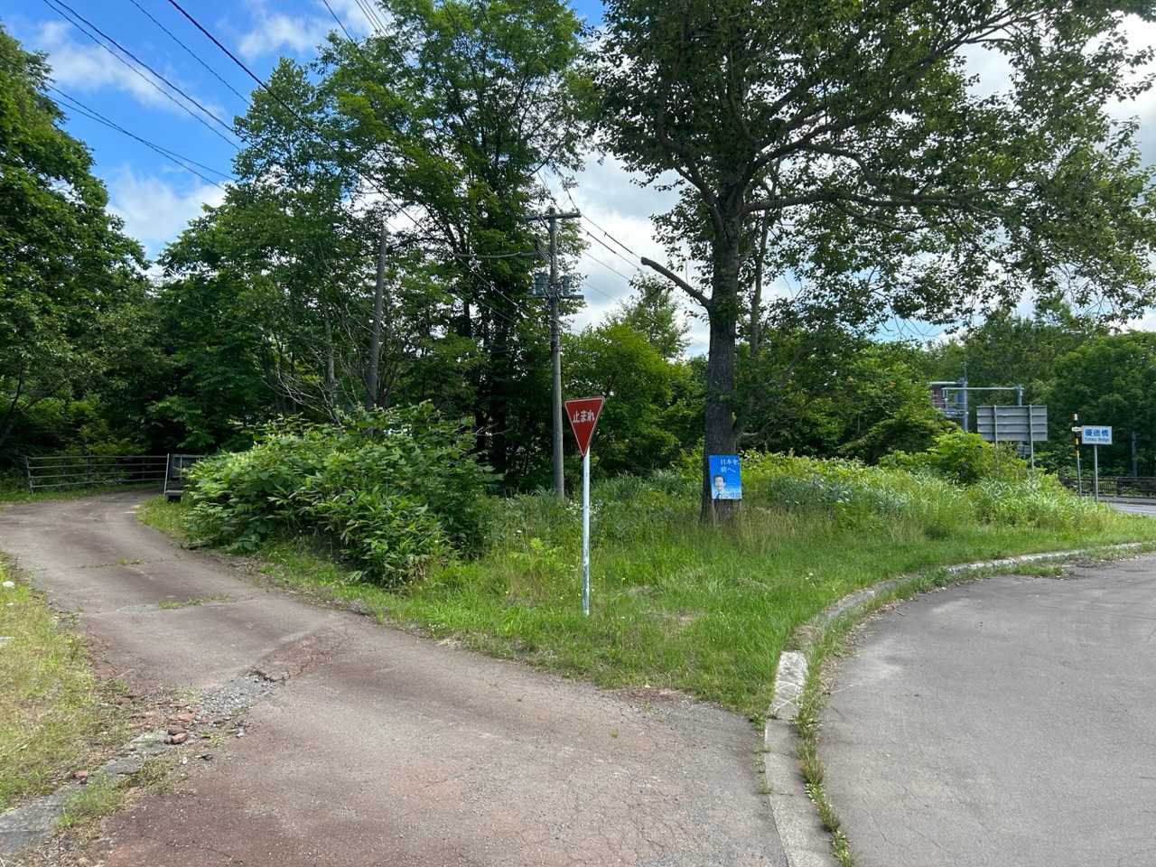 きのこの一周 | おんな自転車ひとり旅 - 楽天ブログ