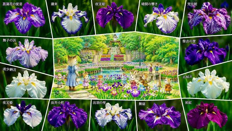戸畑区にある夜宮公園の菖蒲池 花菖蒲がきれいに咲く時期にゃん。 | いしのあるいし(okota) - 楽天ブログ