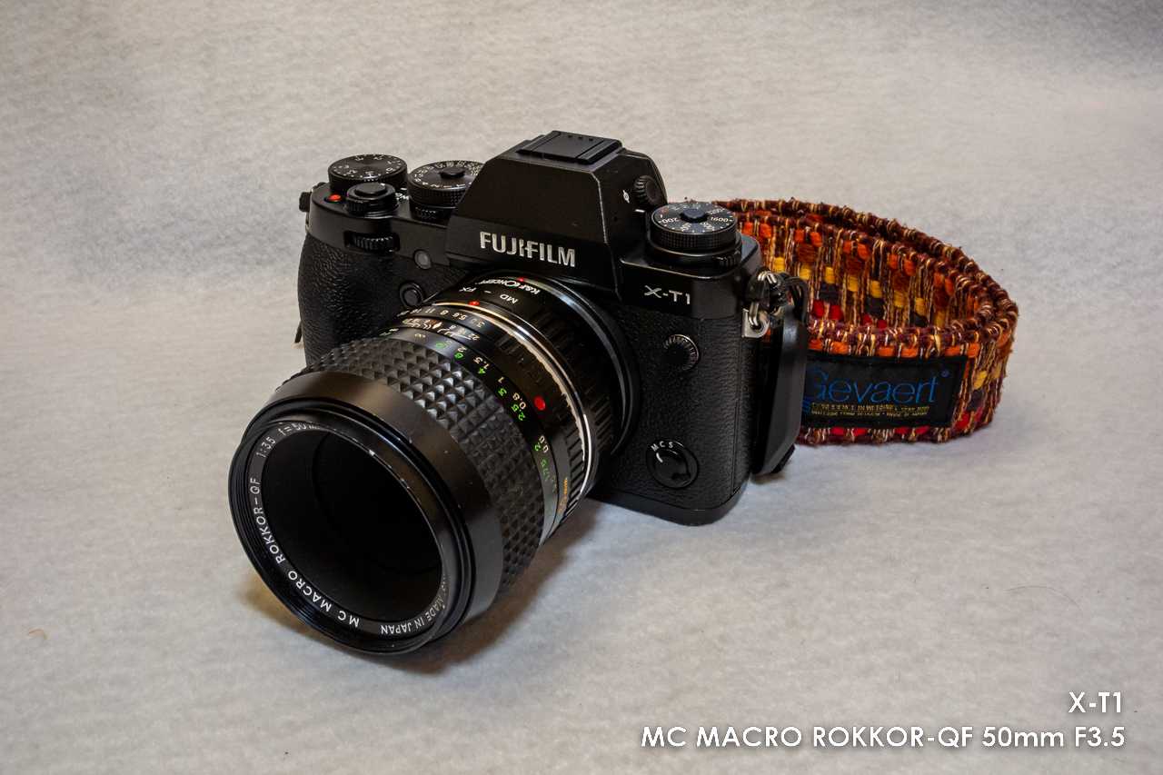 「MC Macro Rokkor-QF 50mm F3.5」Rawで見せる深い色...X-T1編 | ♡ With My Cobby - 楽天ブログ