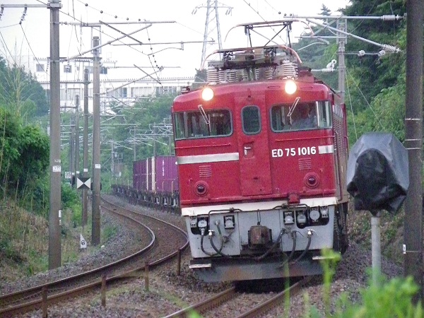 今では、ちょっと懐かしい・・・ED75電気機関車！！ | 鉄道写真の旅 - 楽天ブログ