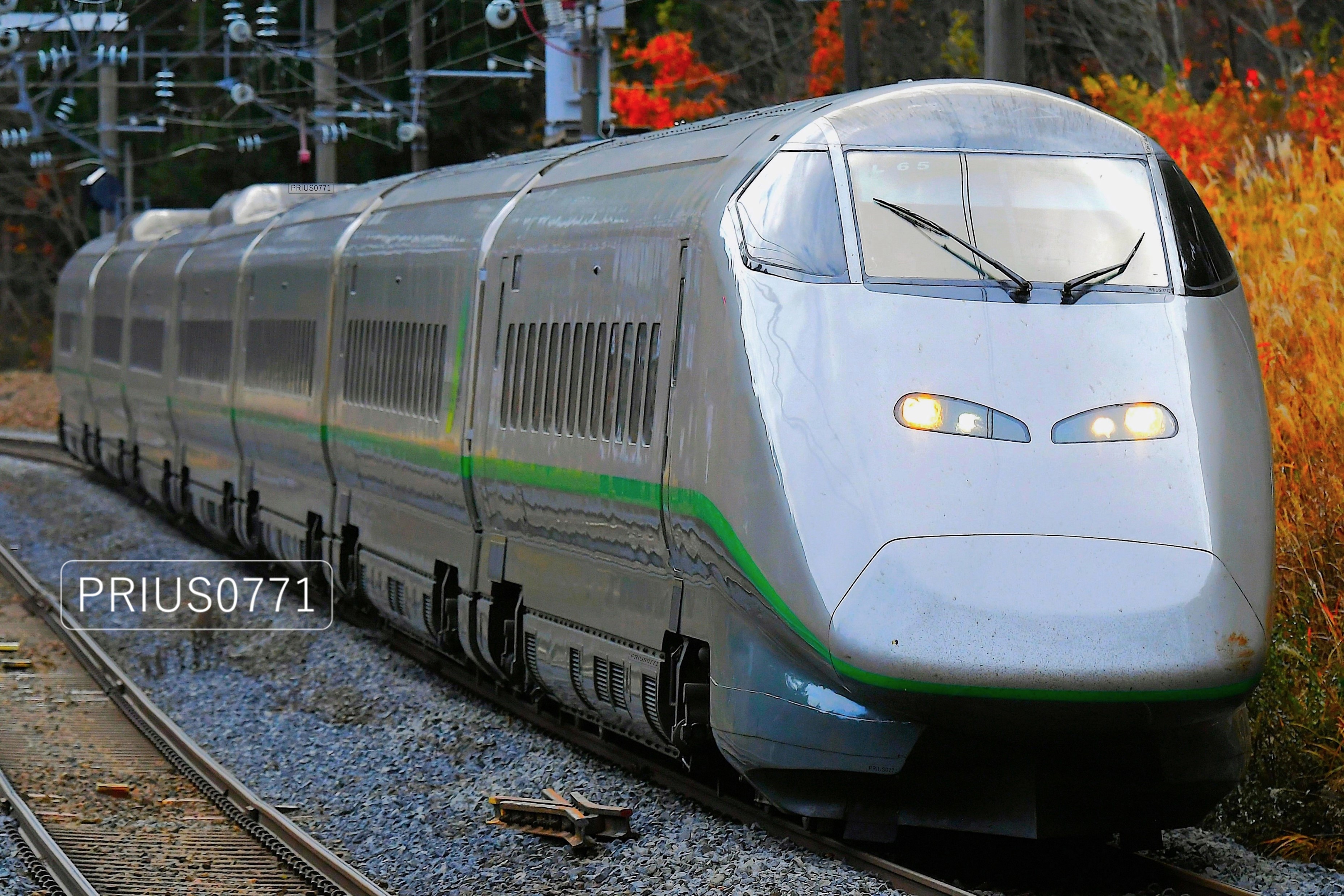 消えゆく撮影地、大沢駅を訪問！ | prius0771のブログ（楽天版） - 楽天ブログ