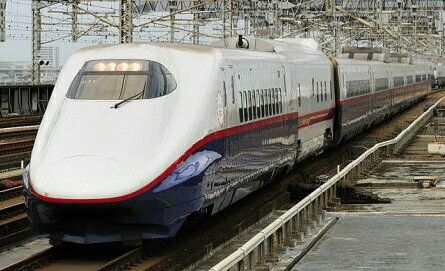 ナシ N21 | プレじぃの鉄分補給 - 楽天ブログ