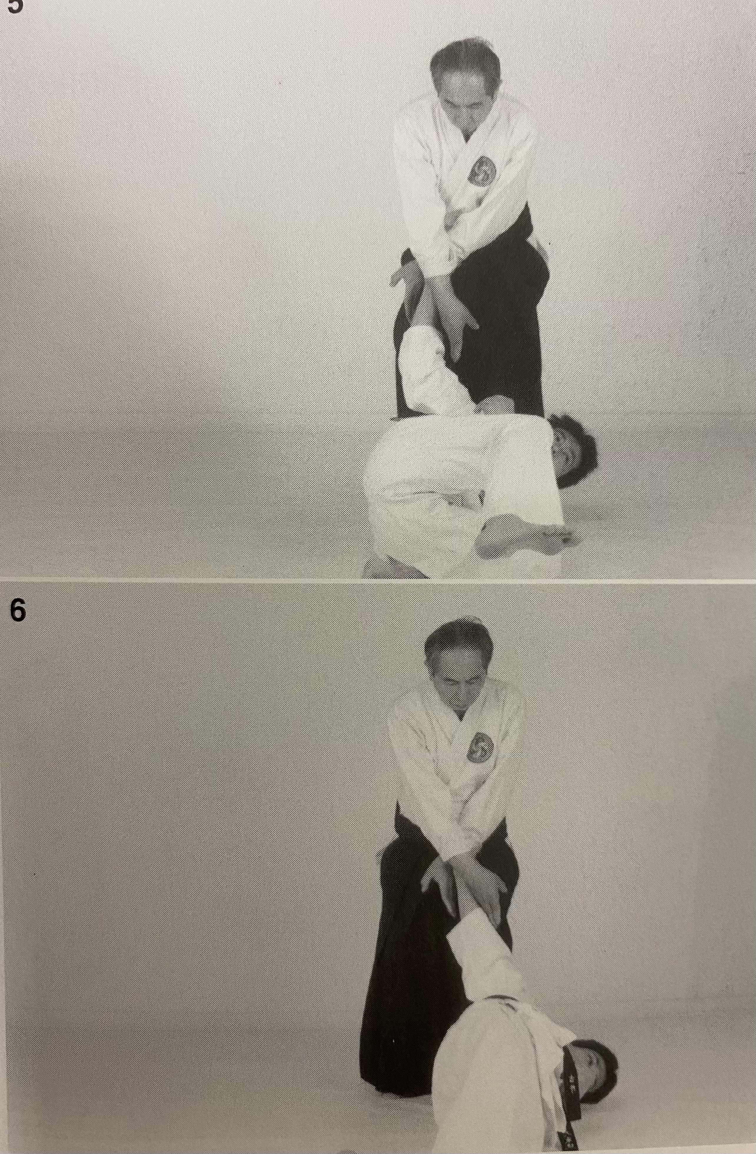 KIHONSHUHOU(Basic Skills) 91 Daitoryu Aikijyujyutsu by Okamoto Seigo ...