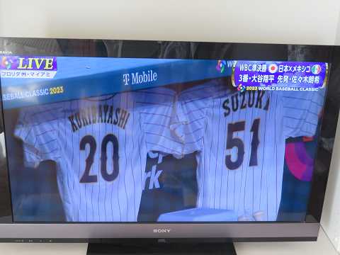 WBC2023 日本xﾒｷｼｺ（TV） | 星とカワセミ好きのブログ - 楽天ブログ