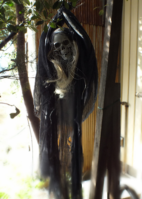 両手を拘束し吊り下げられた「Bound Skull Hanging Prop」 | ネバーランドマガジン - 楽天ブログ