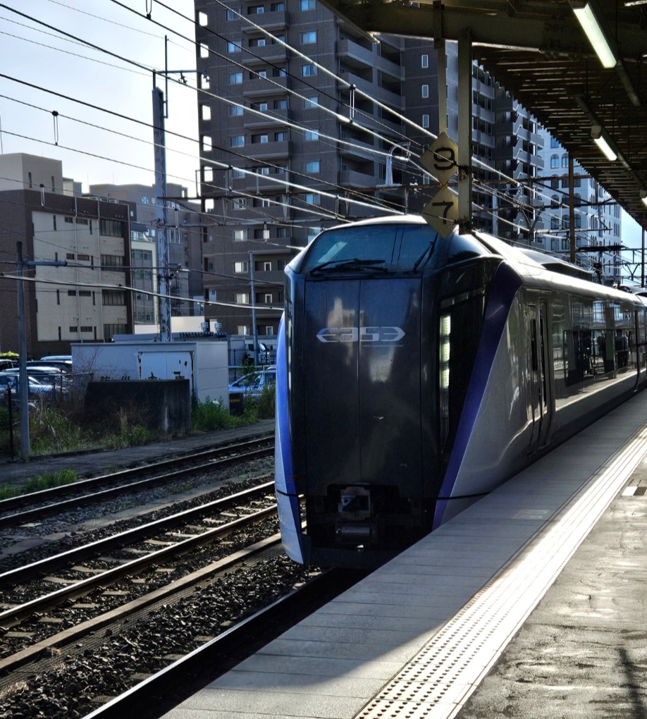 【乗車記録107】E257系あずさ(甲府→立川） | とりあえず乗ってみた - 楽天ブログ