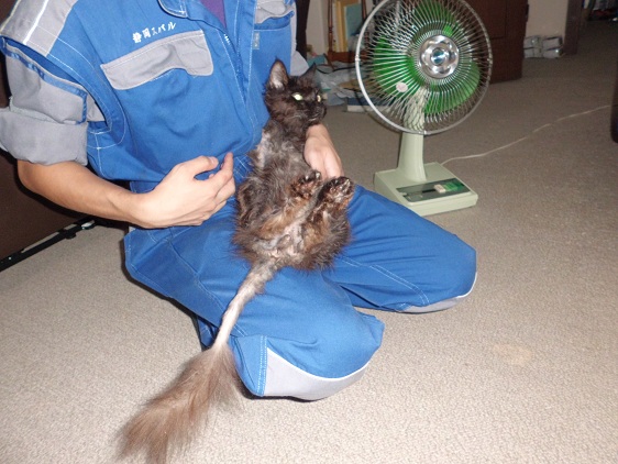 ご対面 | パパゴリラ！の日記 - 楽天ブログ