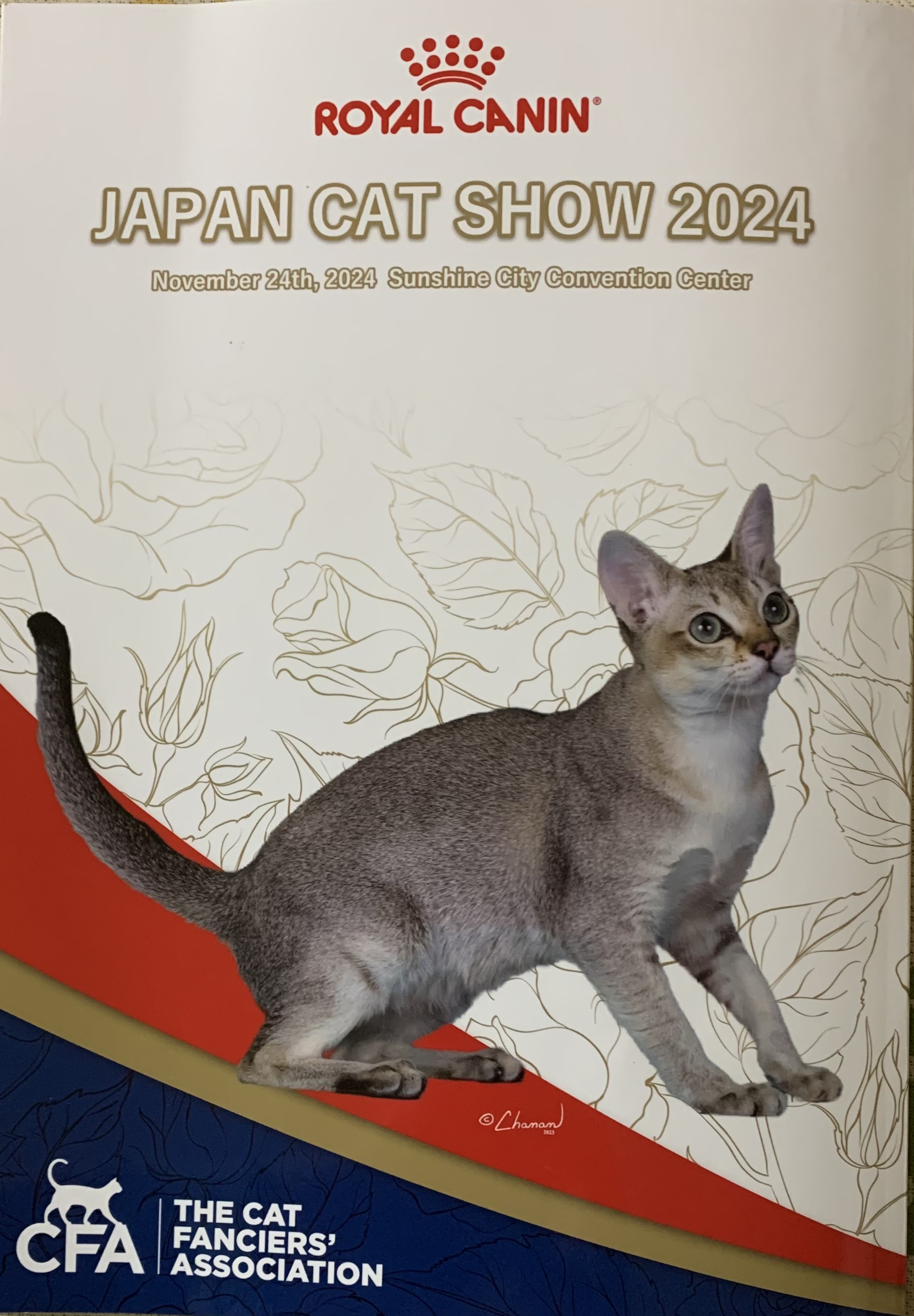 JAPAN CAT SHOW 2024 | Cattery PETITANGEのブログ - 楽天ブログ