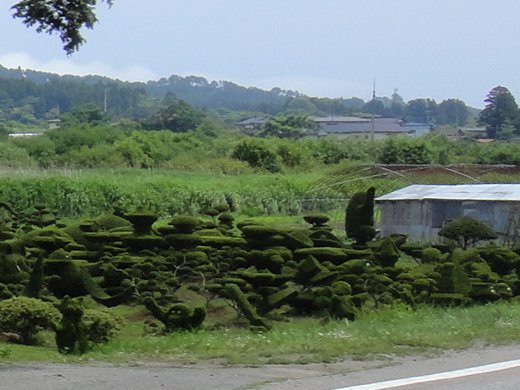しもへいグリーンロードツーリング！！（その1） | バイクとイカ釣りの日記♪ - 楽天ブログ