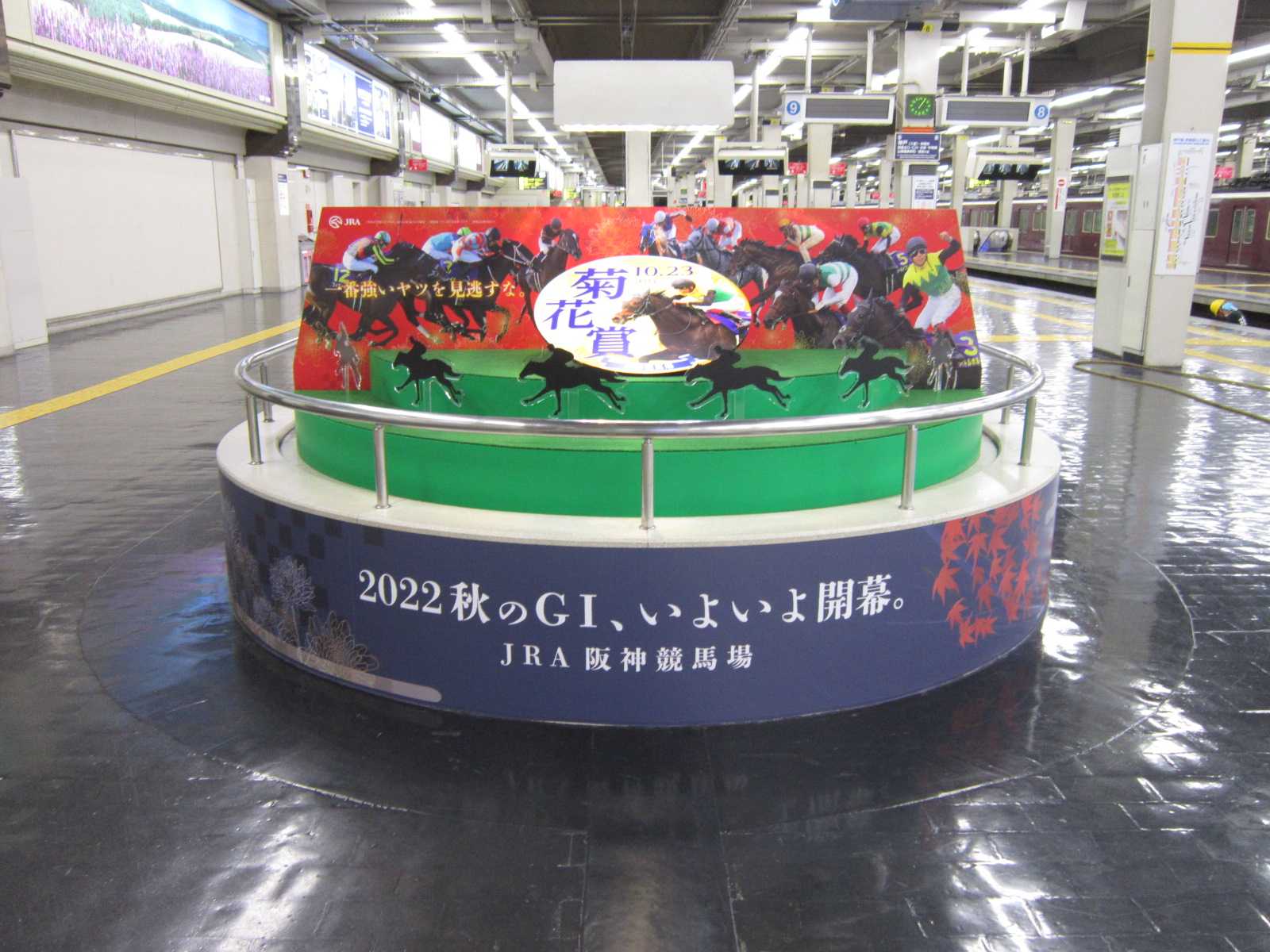 WIN5結果 10/23 本命 は当ててるのに🎈馬券は当たりません😭 2週続けて馬券下手👎🏻を露呈😣 | WIN5予想 1億円よりも50万円 - 楽天ブログ