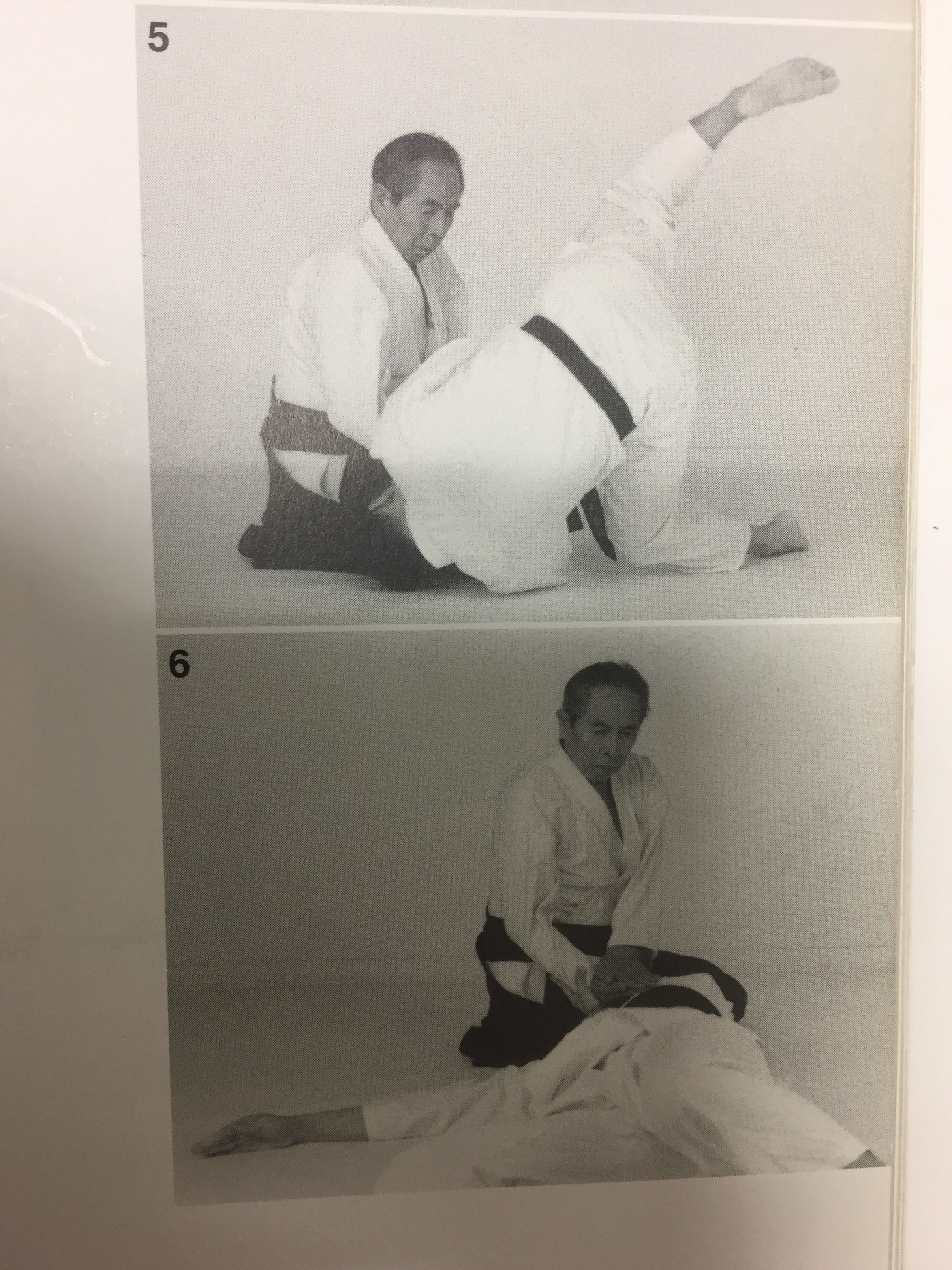KIHONSHUHOU(Basic Skills) 48 Daitoryu Aikijyujyutsu by Okamoto Seigo ...