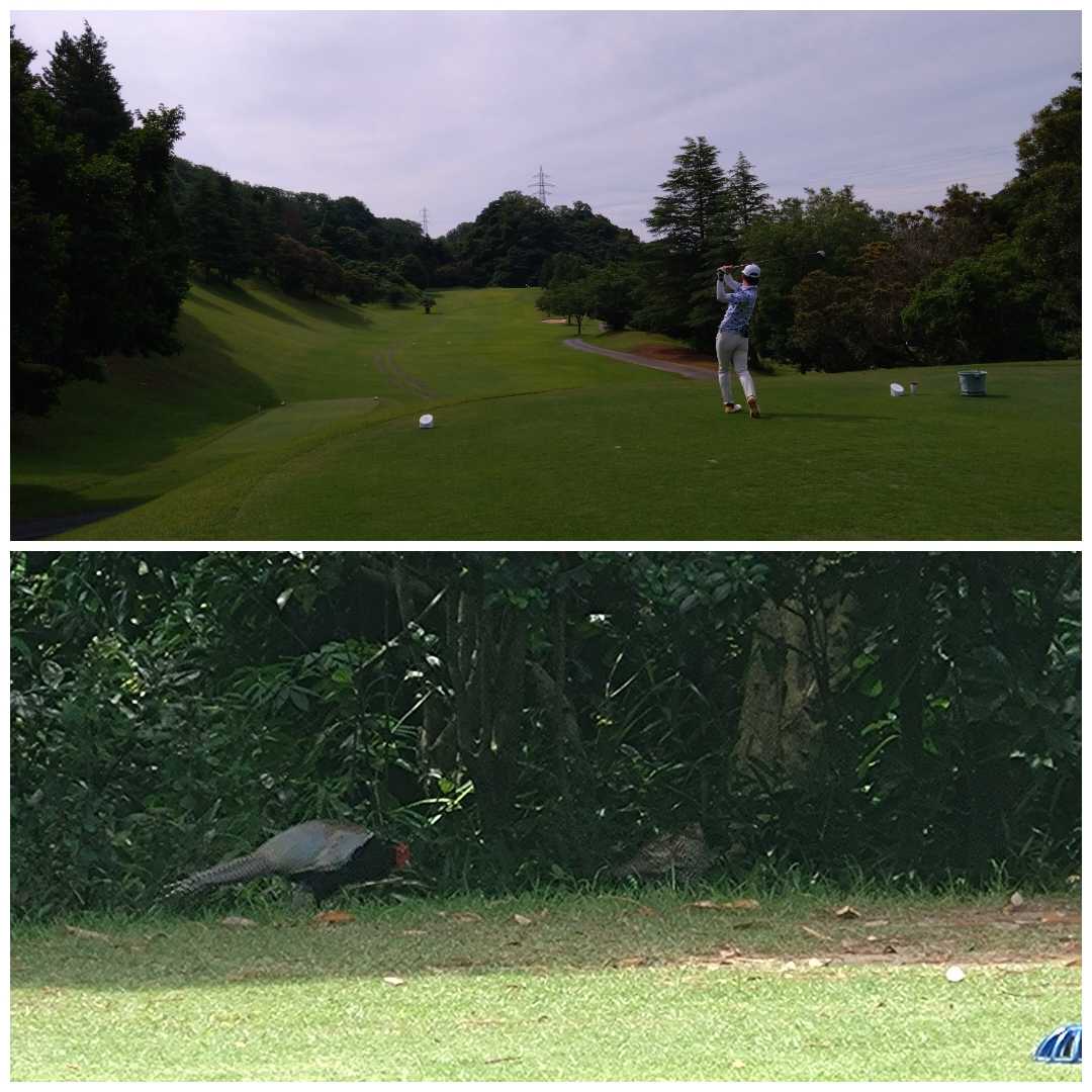 スパリゾートハワイアンズゴルフコース | おきらくふうにゃんのGOLF＆いろいろ日記 - 楽天ブログ